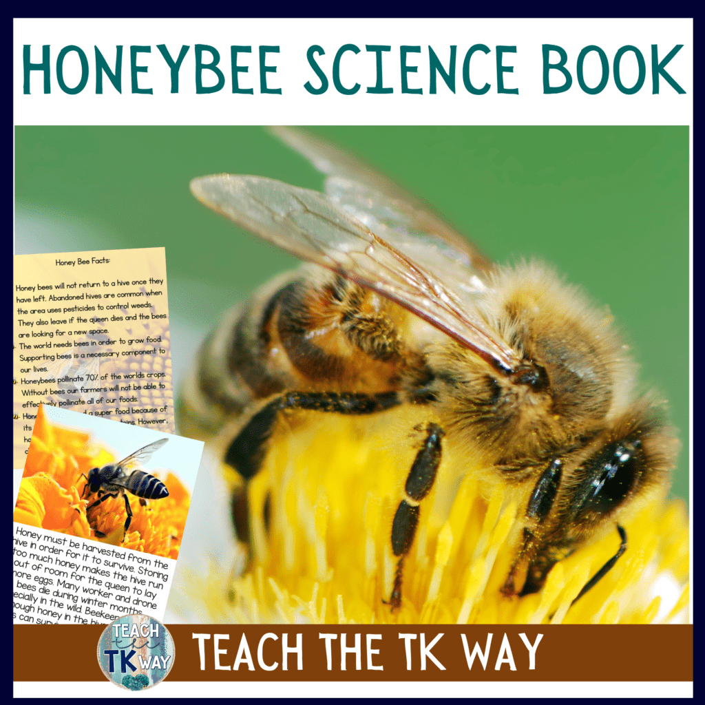 Honey Bee Facts - Natural Classroom Specialist
