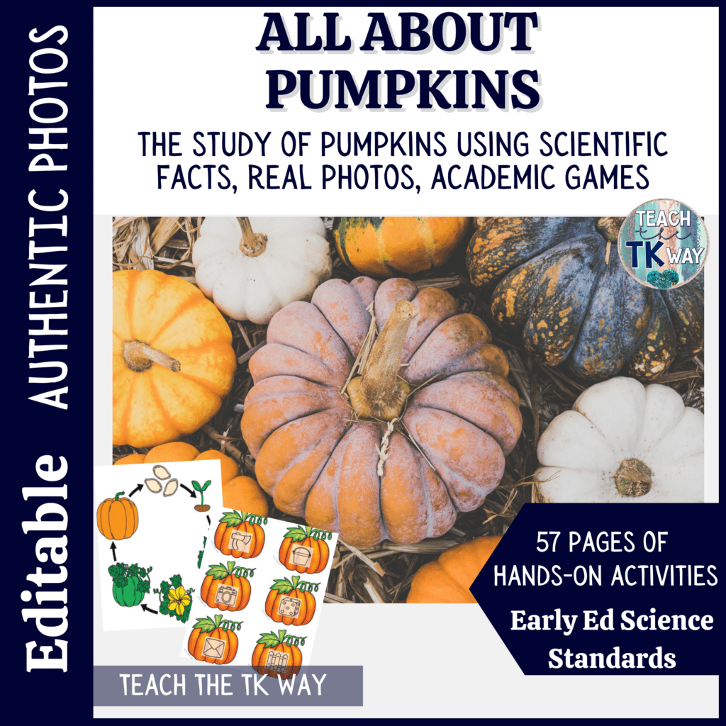 Life Cycle of a Pumpkin - Natural Classroom Specialist