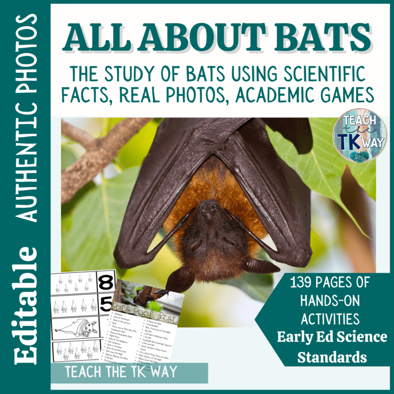 Life Cycle of a Bat - Natural Classroom Specialist