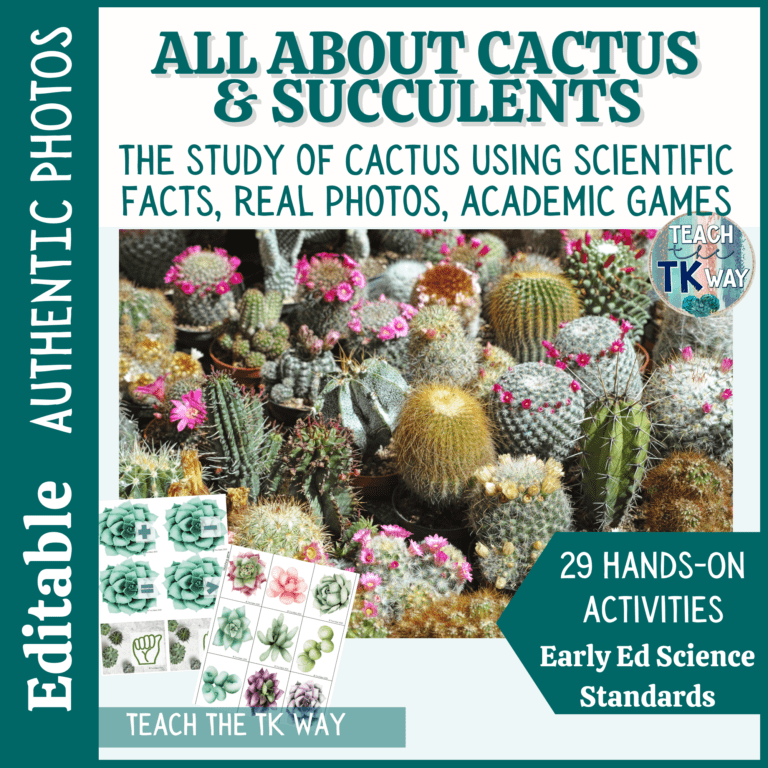 Life Cycle of a Cactus - Natural Classroom Specialist