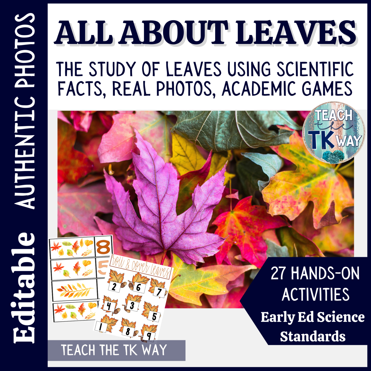 Life Cycle of a Leaf - Natural Classroom Specialist