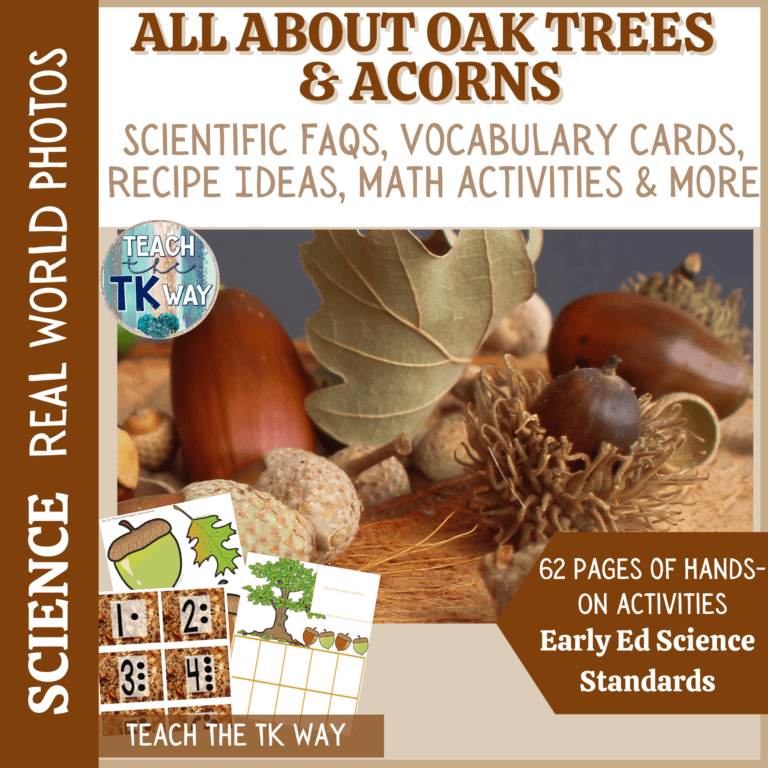 Oak Tree Life Cycle - Natural Classroom Specialist